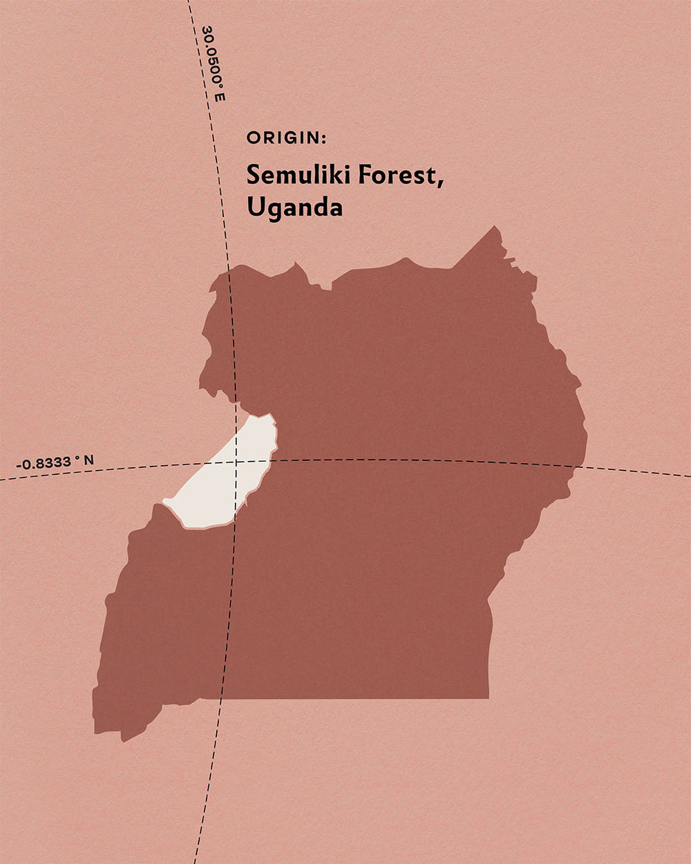 International Origin Tablet No. 14 - 80% Dark